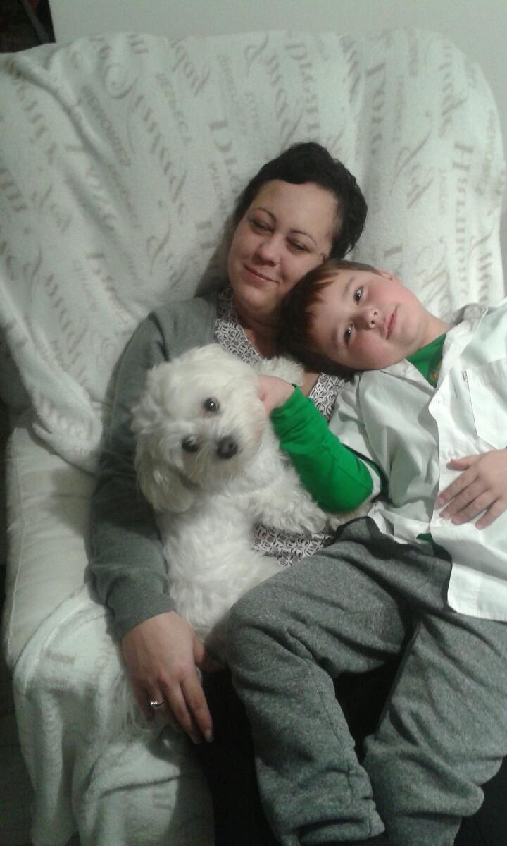 Stratil sa Maltézsky psík | Čuko | psíčkar.sk